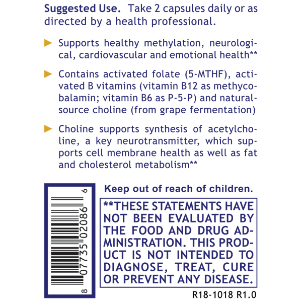 Phyto Methylate - Biofield Expert